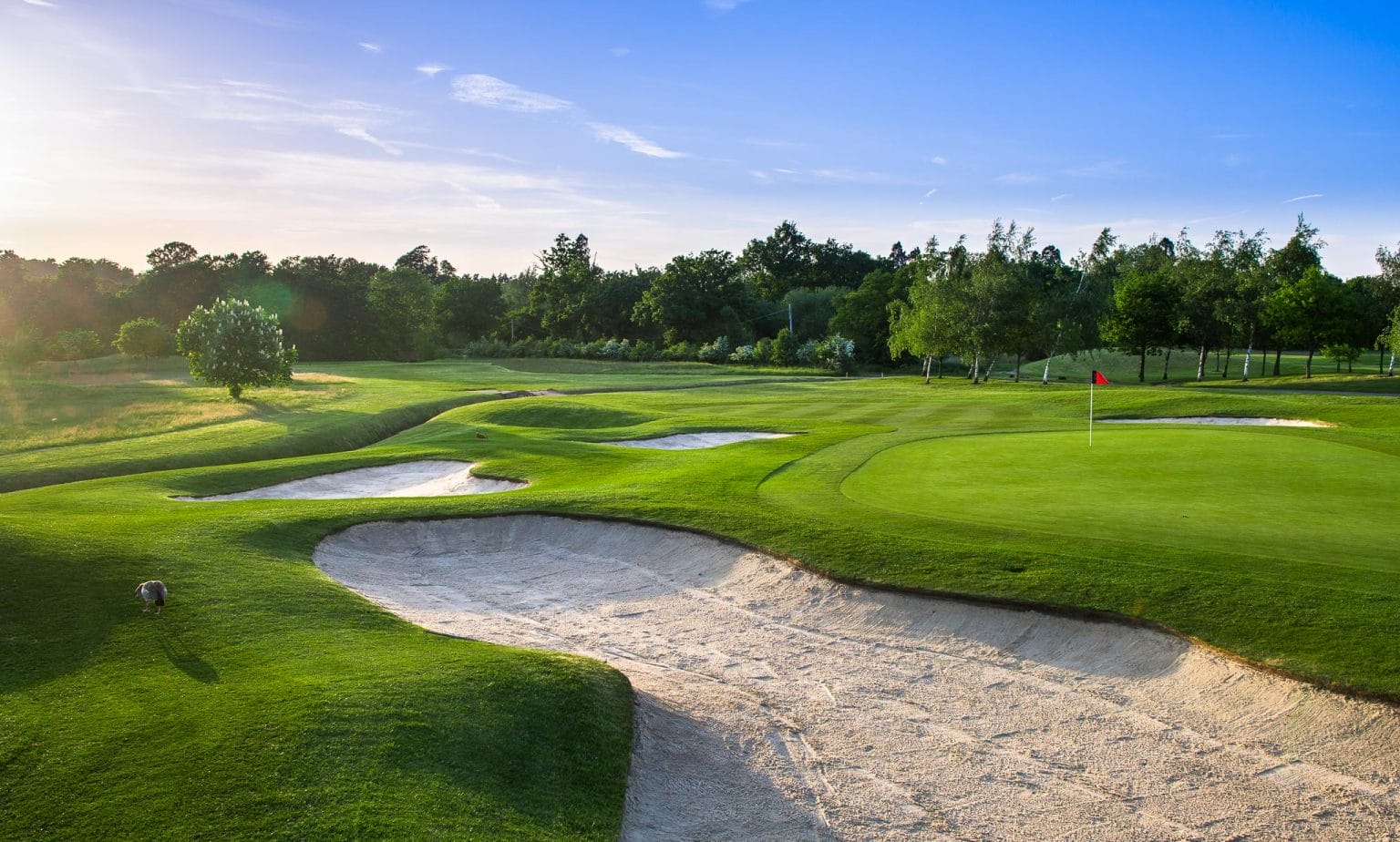 Green Fees • Golf Clubs in Surrey • Burhill Golf Club