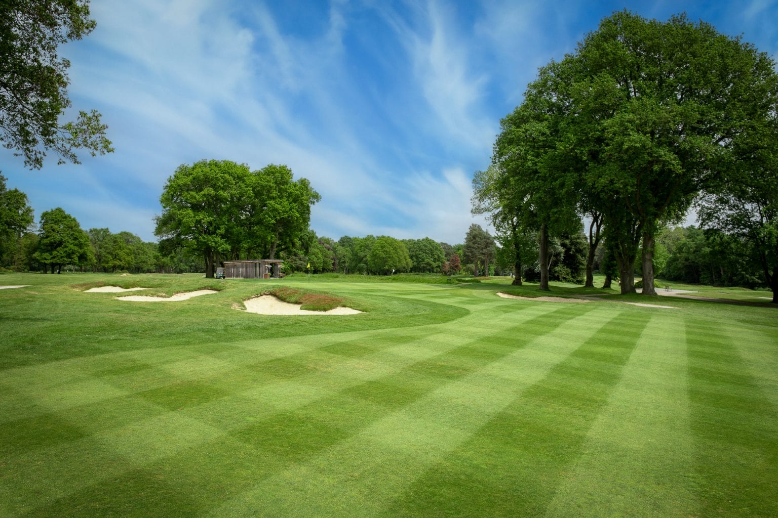 Our Courses • 2 Championship Golf Courses in Surrey • Burhill Golf Club