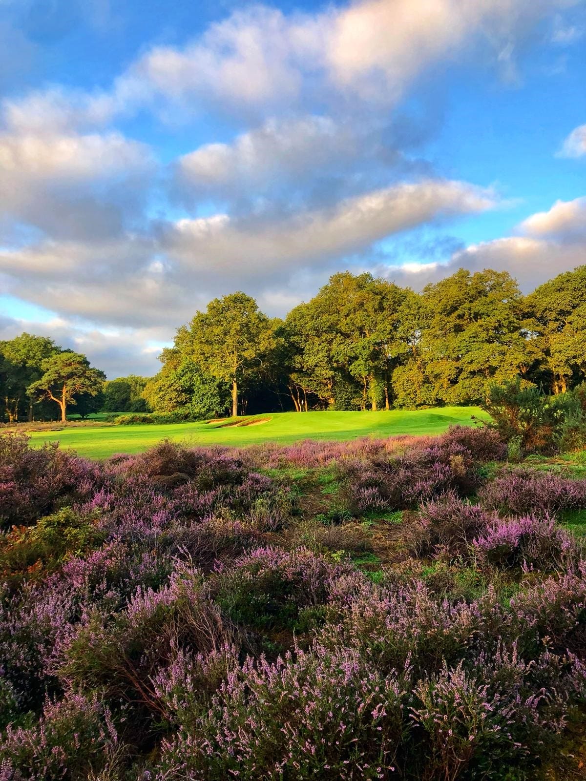 Our Courses • 2 Championship Golf Courses in Surrey • Burhill Golf Club